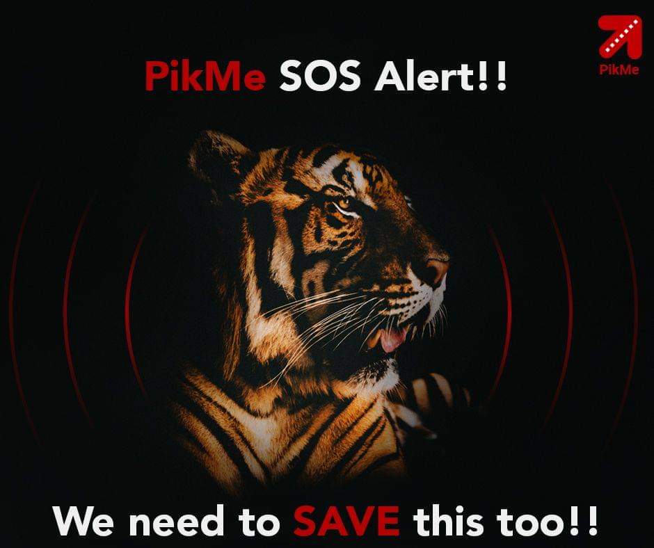 Aparna's Gallery: Social Media Design | PikMe