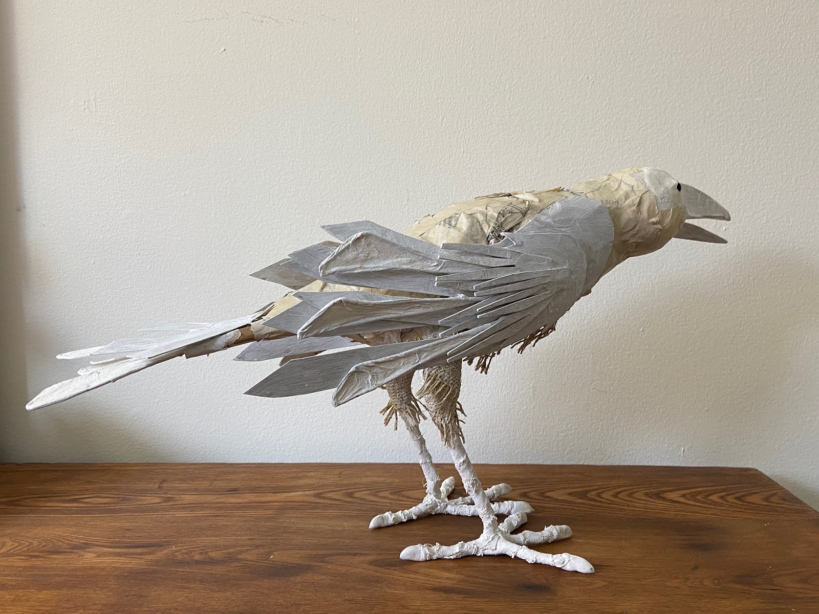 Woodstown Whimsies: Raven (Raving?) Musings...