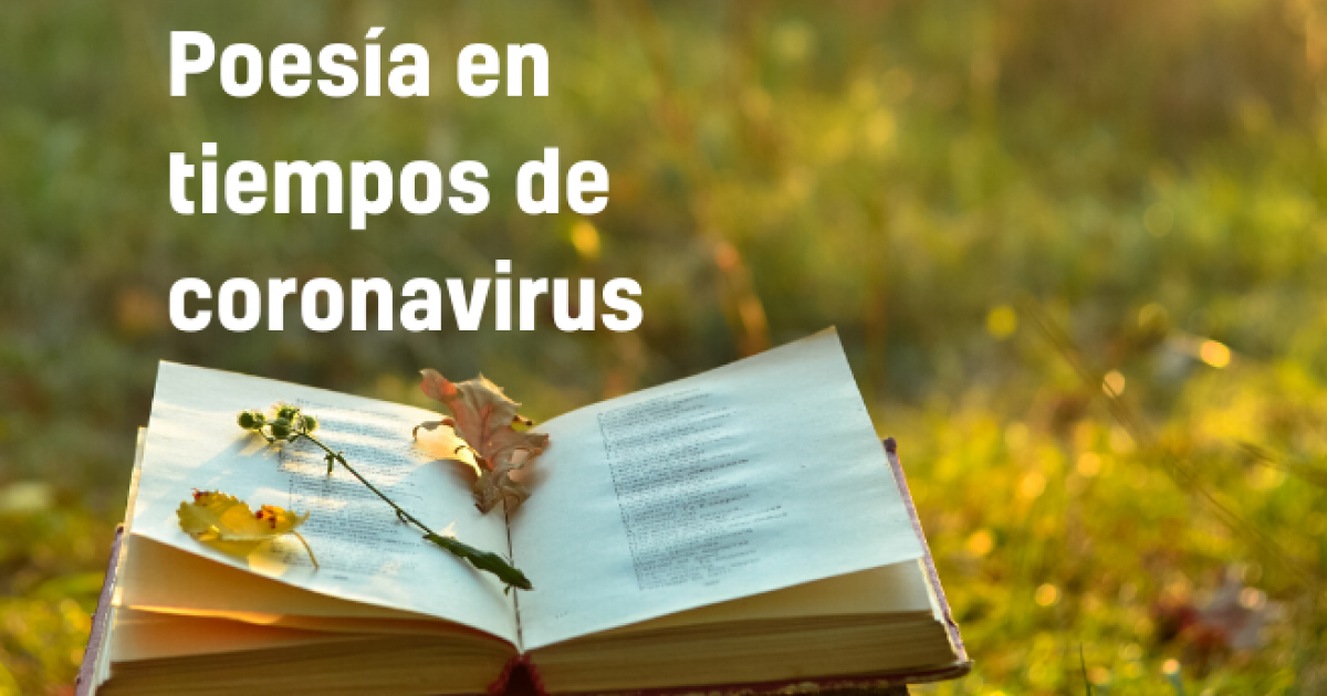 Los textos poéticos y sus características lingüísticas y comunicativas ...