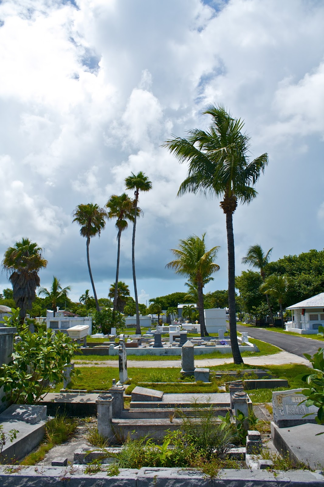 days of dream: palm trees & gravestones: key west cemetery
