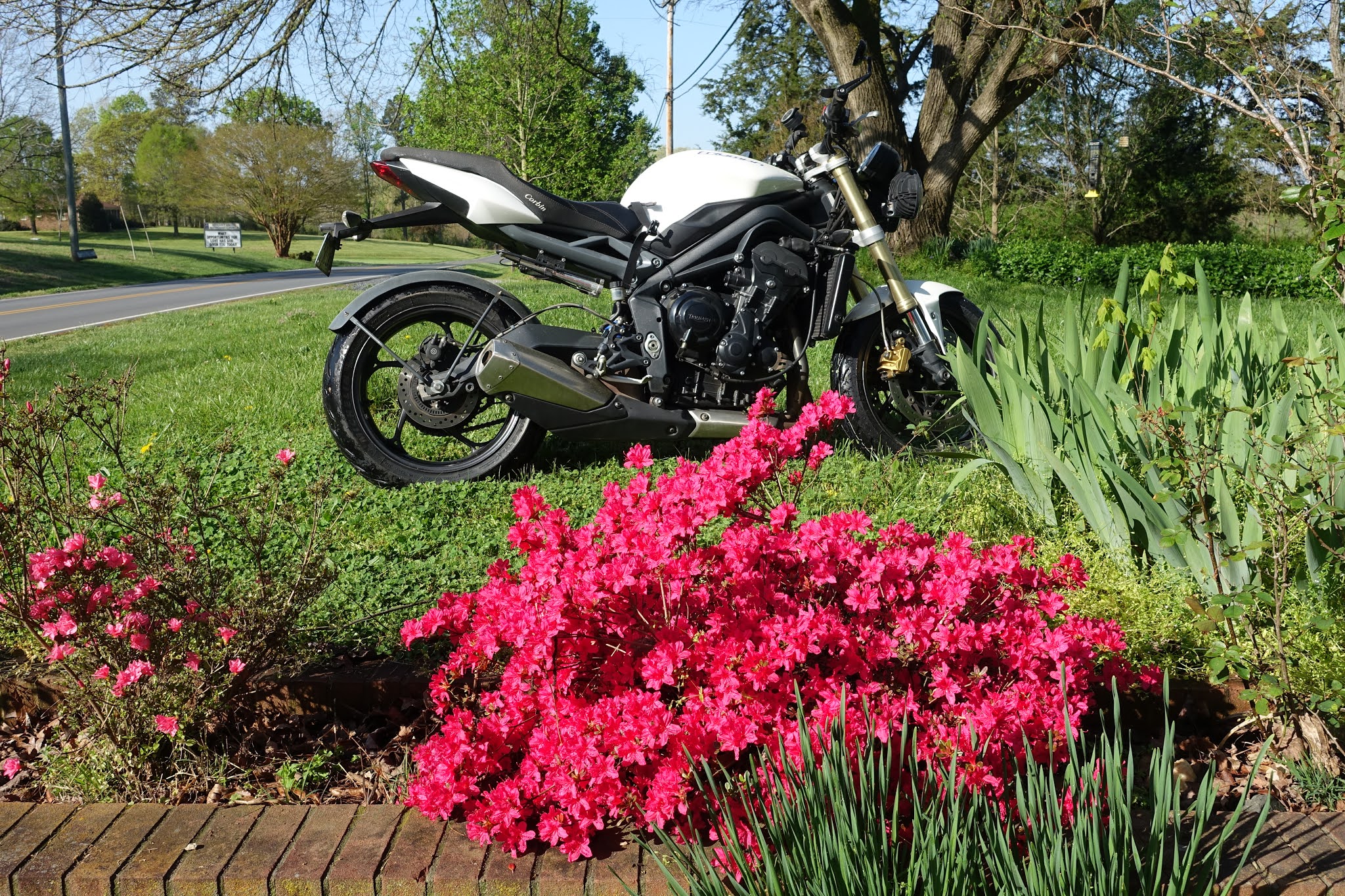 Motorcycle with a Red Bush | Adventure Rider