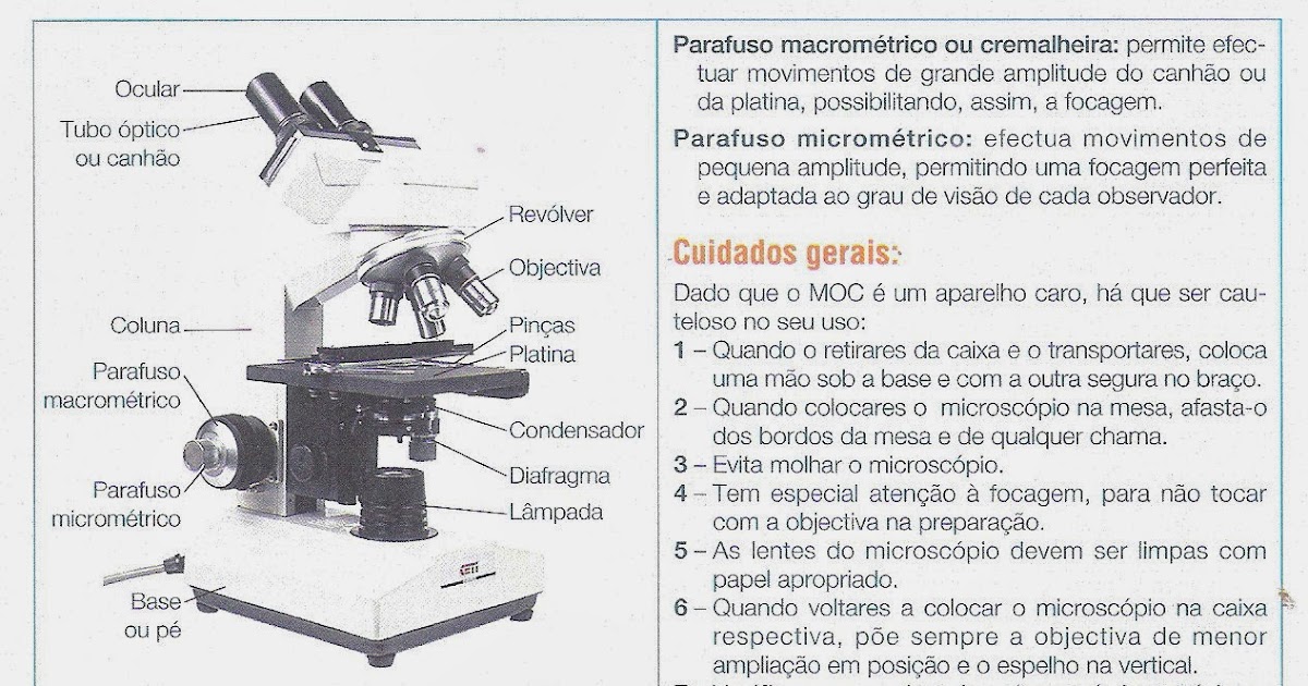 Biologia e Geologia: Constituição e funcionamento do Microscópio Ótico ...