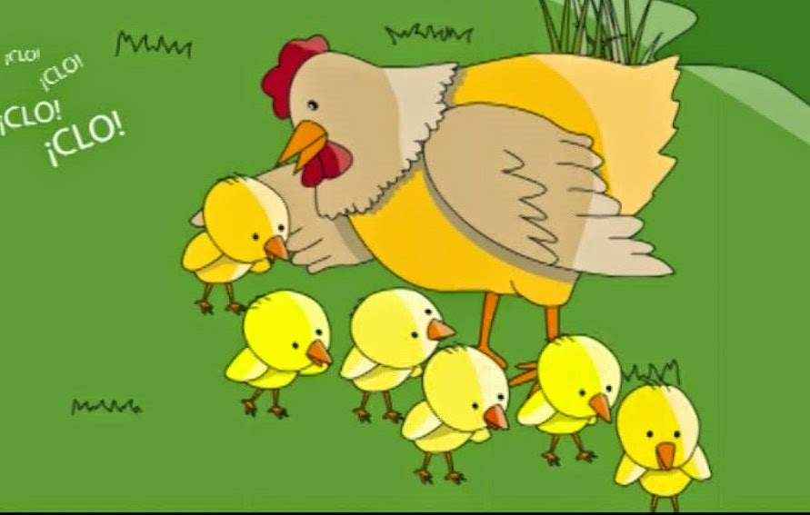 Pequeños exploradores: Cuento EL POLLITO PERDIDO