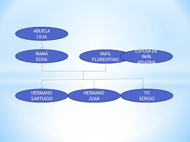 ¿Como enseñar?: Esquema De Familia