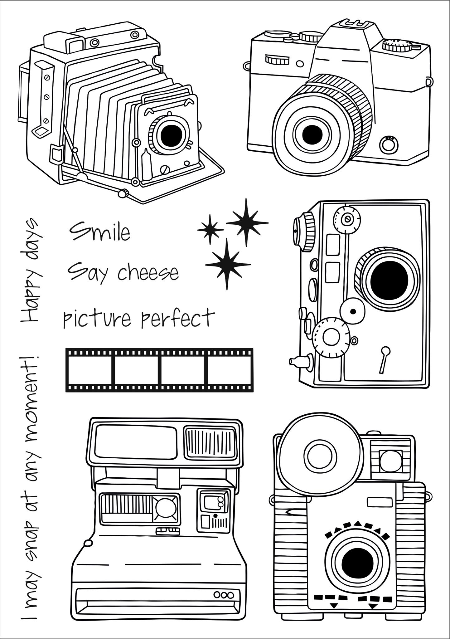 A Crafting Niche: Funky Fossil Designs "Snap Happy" stamp set preview