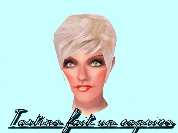 viens rigoler avec Gidé: Tartine fait un caprice 1