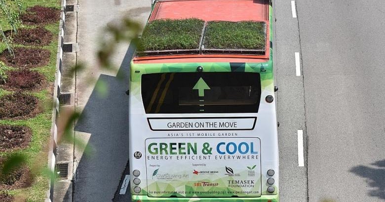 Interesting Green: Buses with green roofs hit the roads