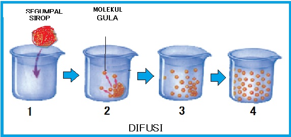 BIOLOGI GONZAGA: KULIAH DASAR SITOLOGI