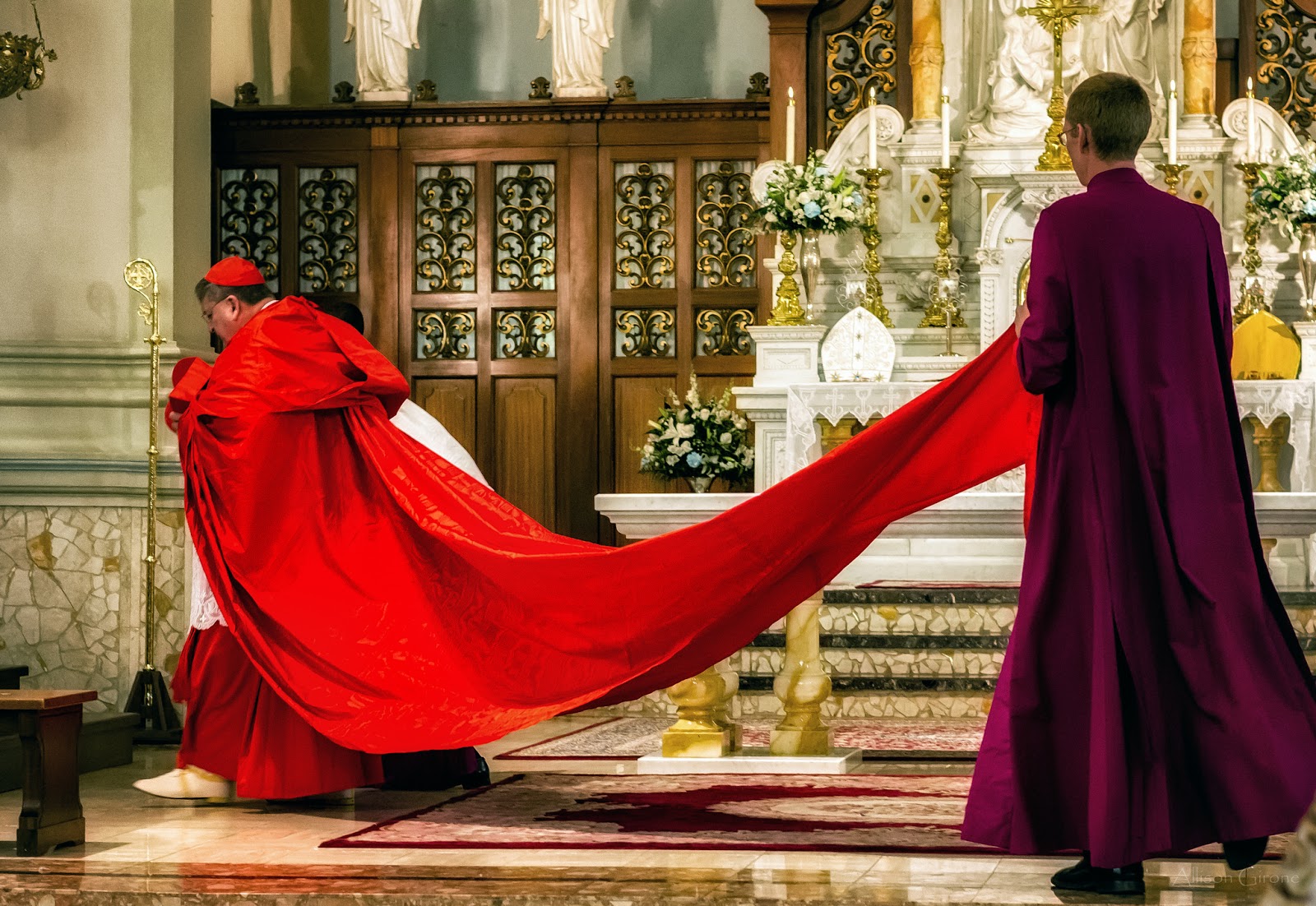 New Liturgical Movement: The Cappa Magna in the Light of Nature ...