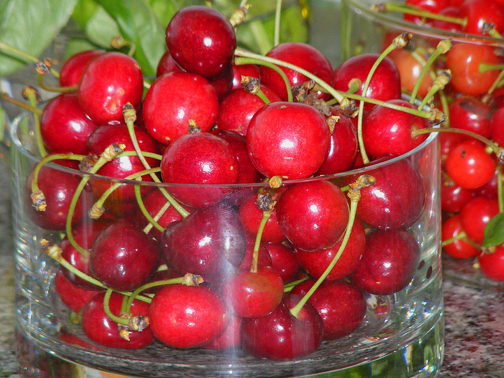 Days on the Claise: Cherries in the Touraine Loire Valley