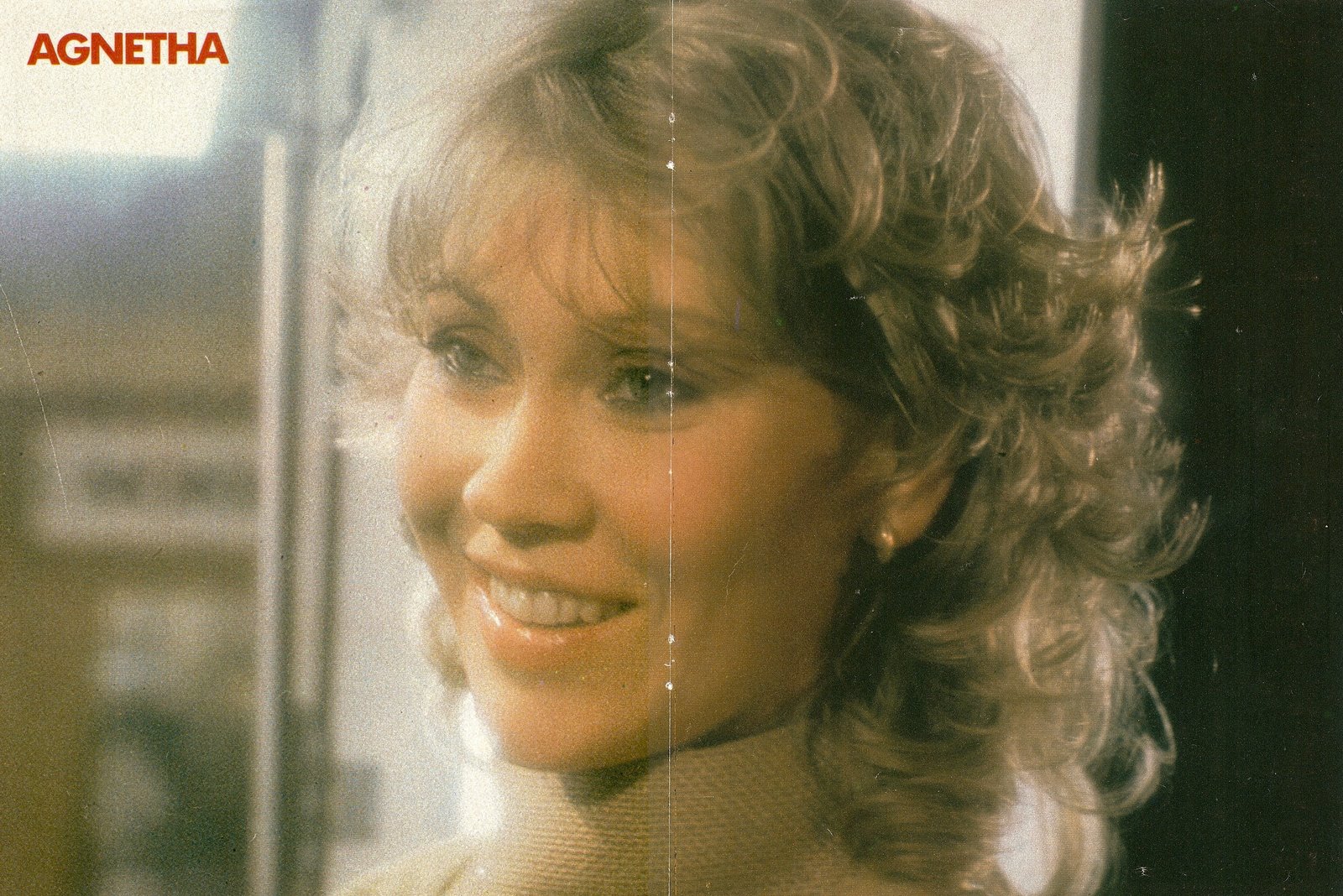 ABBA Fans Blog: Agnetha Poster
