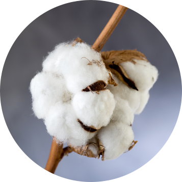 COSAS PARA PhotoScape: IMÁGENES PARA PHOTOSCAPE,PHOTOSHOP Y GIMP DE ALGODÓN