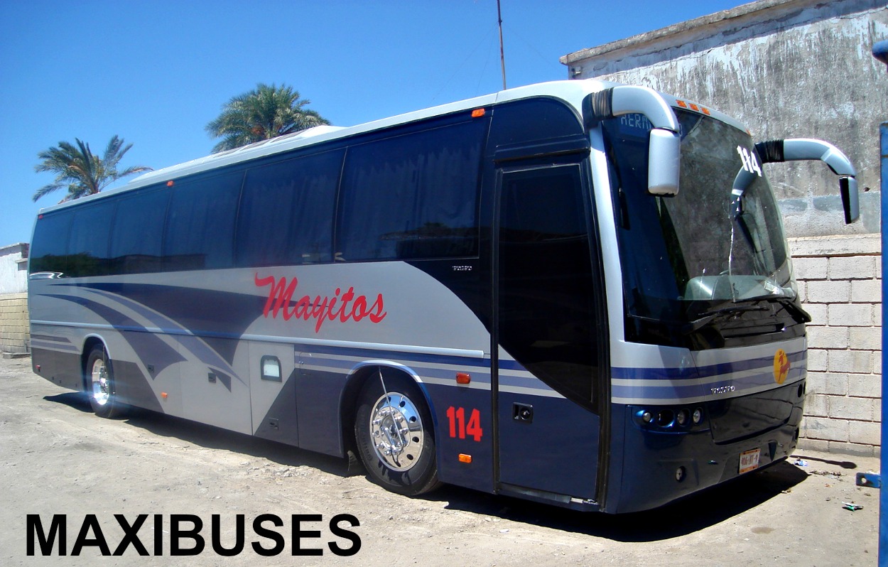 MAXIBUSES: AUTOBUSES LOS MAYITOS