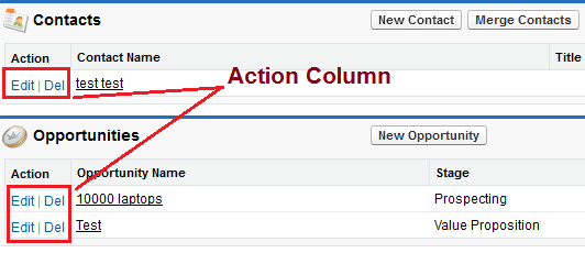 InfallibleTechie: Action Column in Salesforce