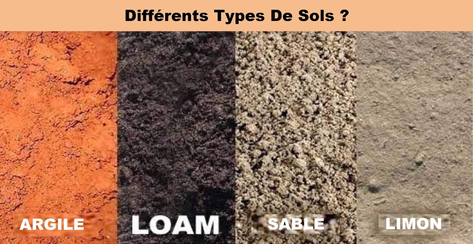 Différents Types De Sols ? - Un site dédié à la conception plan de ... Différents Types De Sols ? - Un site dédié à la conception plan de ...