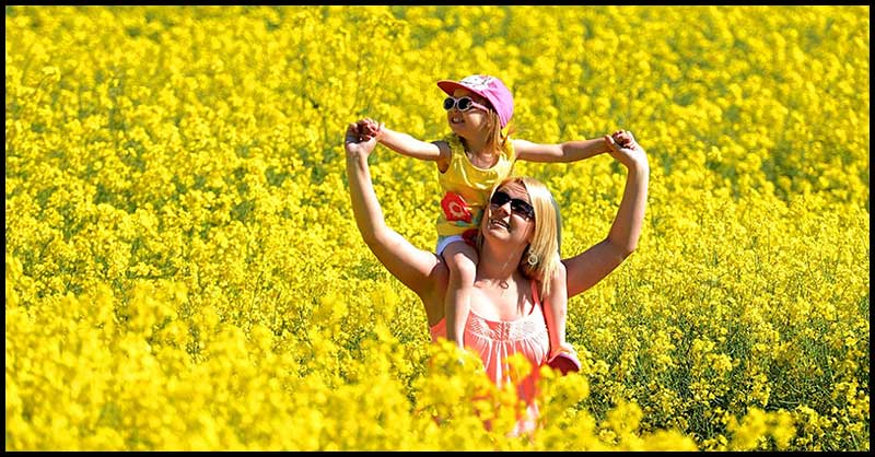 Getting Enough Sunshine May Help Prevent These Health Problems | Dr ...