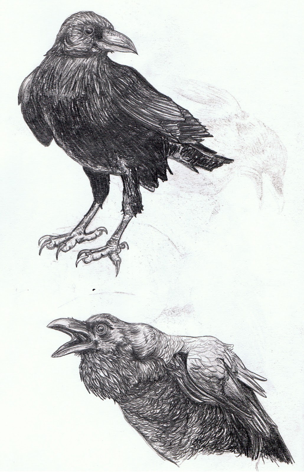 Fineliner: An Unkindness of Ravens