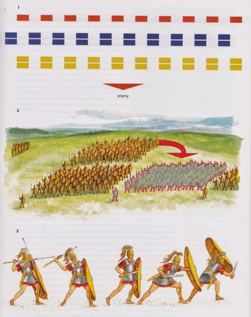 David Eshel's Opinion