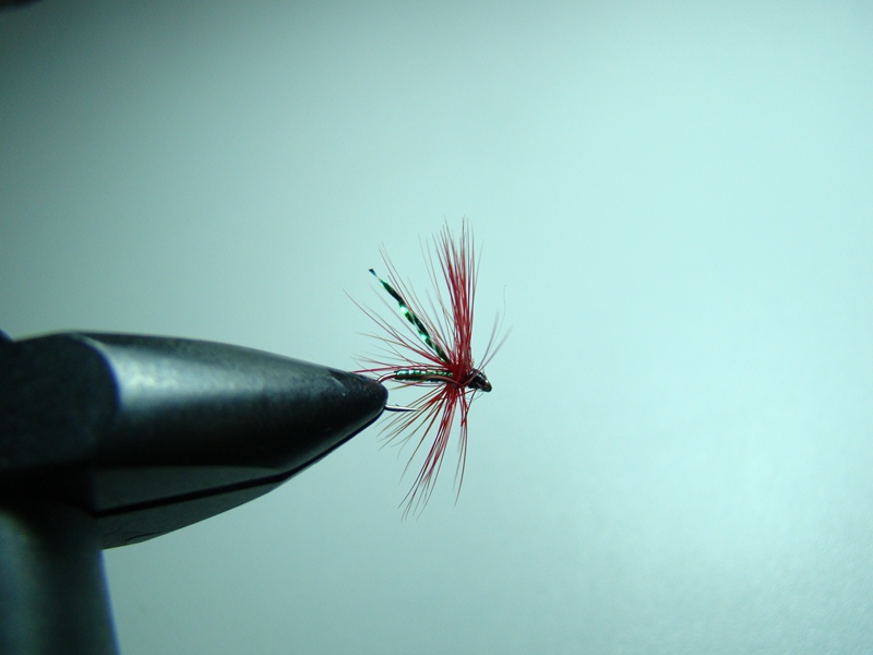 Pescuit cu musca artificiala: Taparine OBLETE