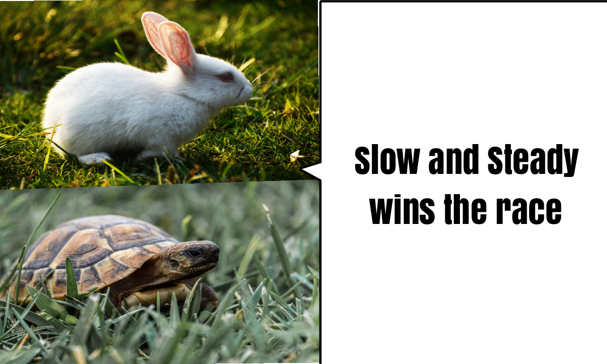 The Hare and The Tortoise. ( Slow but steady wins the race). Story