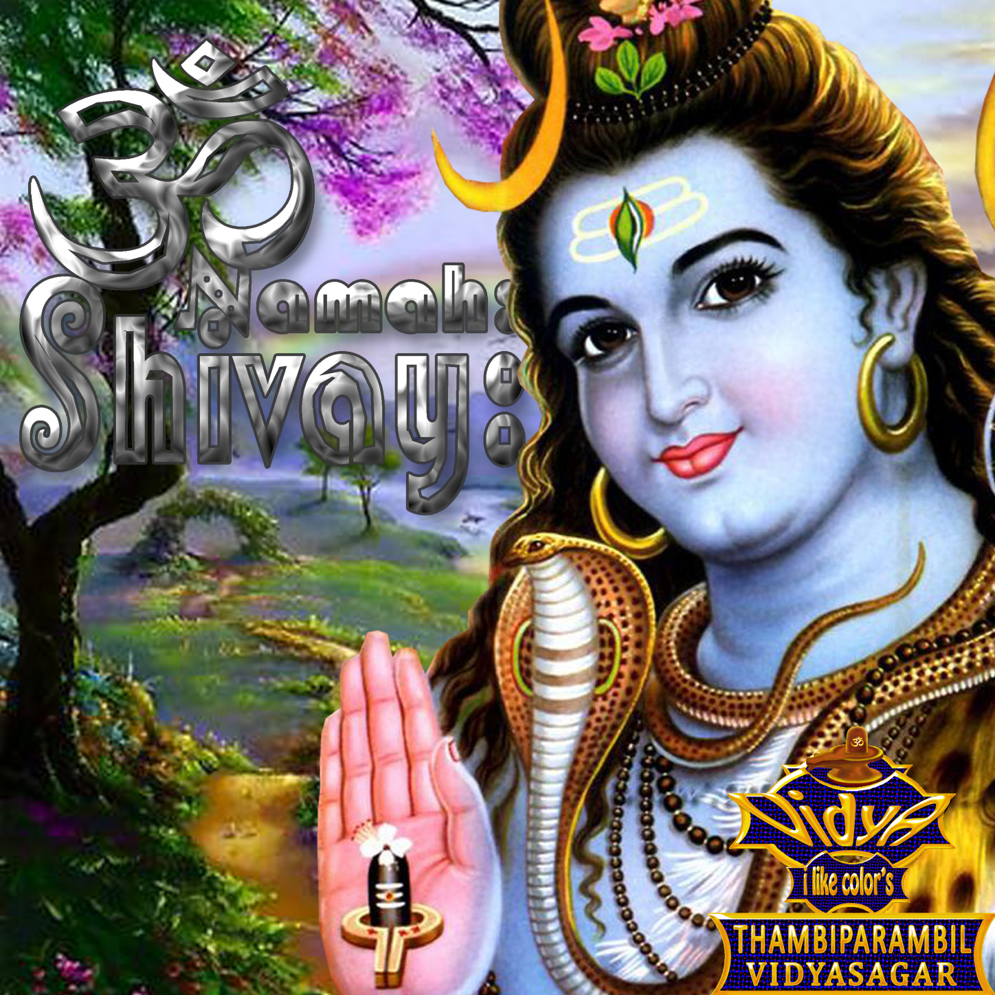 LORD SHIVA WALLPAPER'S: Maha deva