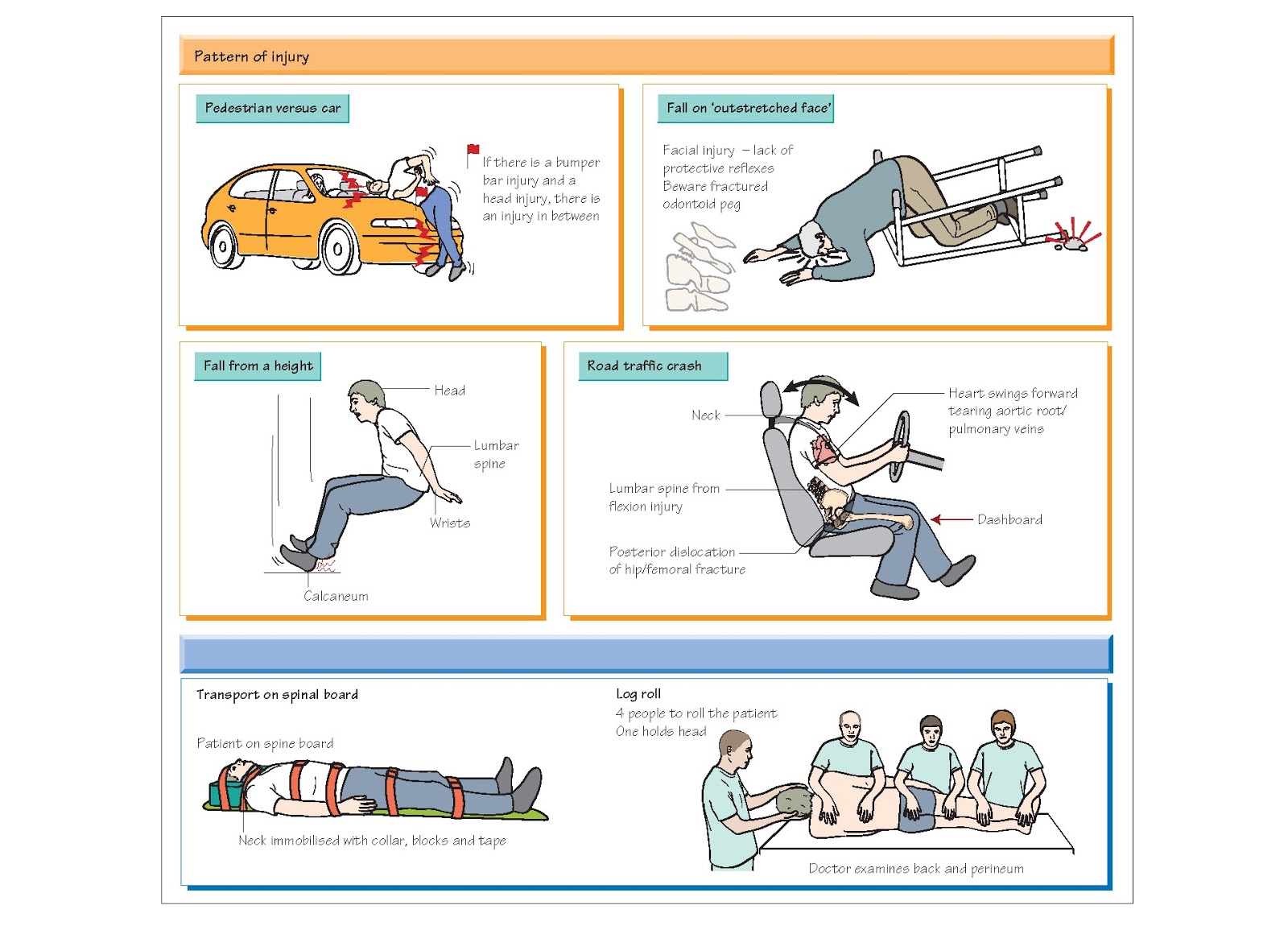 Trauma Secondary Survey Pediagenosis trauma-secondary-survey-pediagenosis