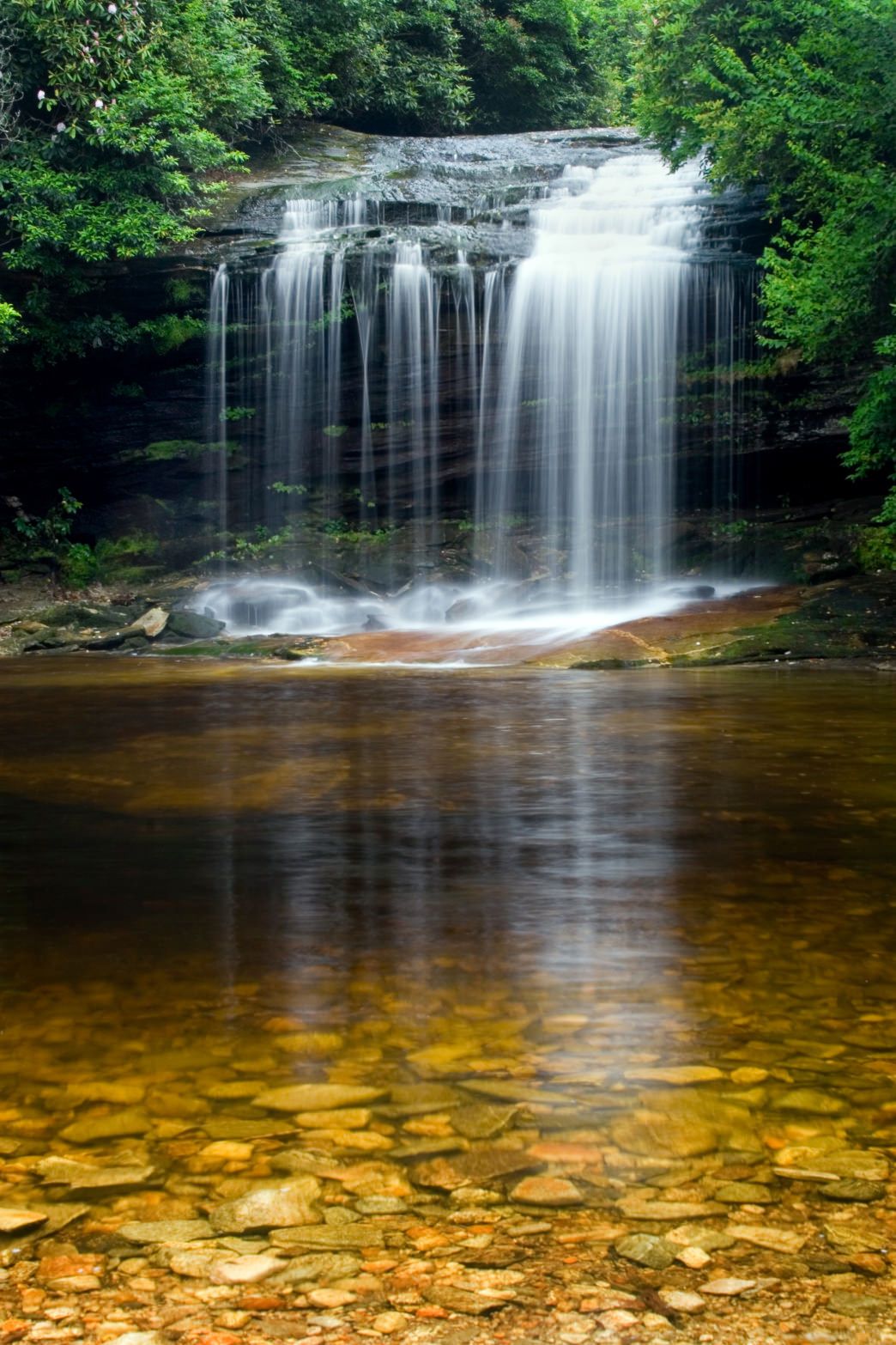 New Pics Hub: Top 60 Best Wallpaper For Your Display.