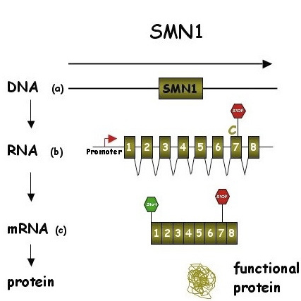 Ella's Corner: How Does This Happen Anyway? (by Michael)