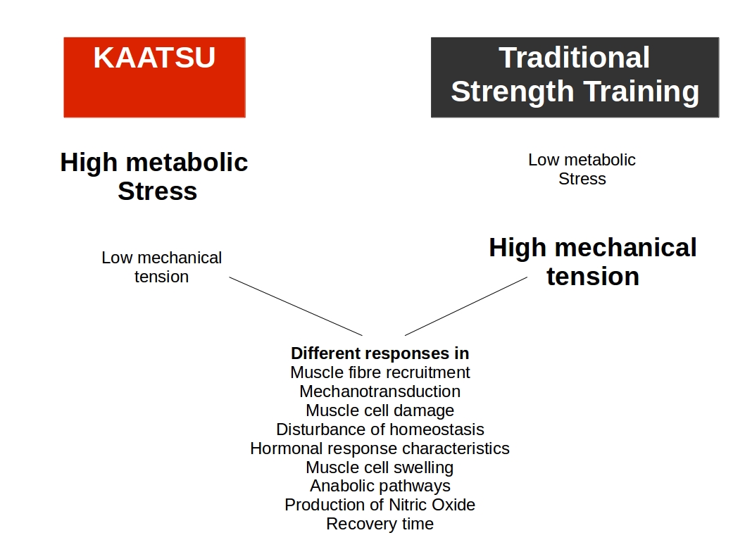 KAATSU Global Blog: What Differs Between KAATSU And Traditional ...