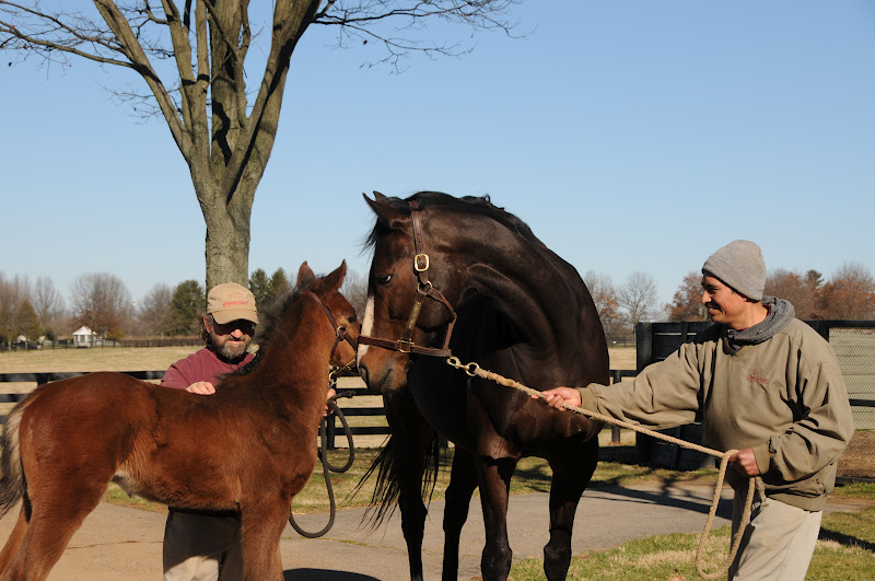 Two Minute Lick: Remembering Mighty Rachel