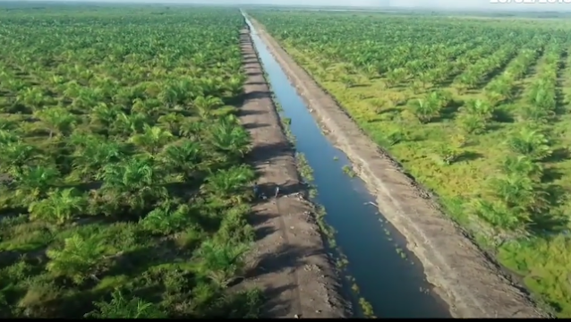 TC CILACAP.COM: WATER MANAGEMENT PERKEBUNAN SAWIT