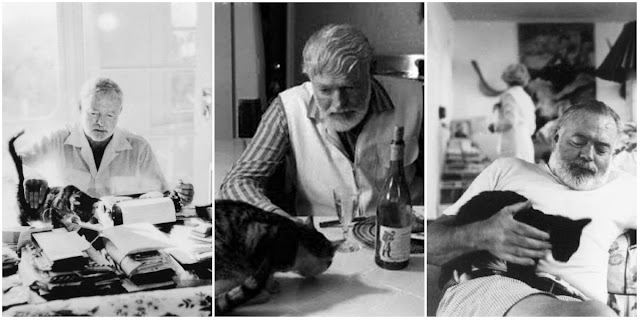 26 Interesting Vintage Photos of Ernest Hemingway With His Beloved Cats ...