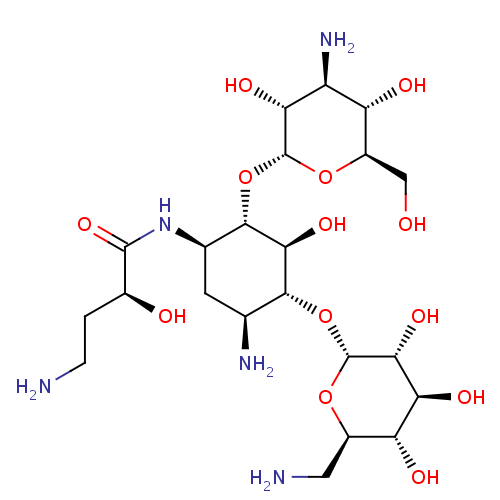 Amikacin ~ Structure of