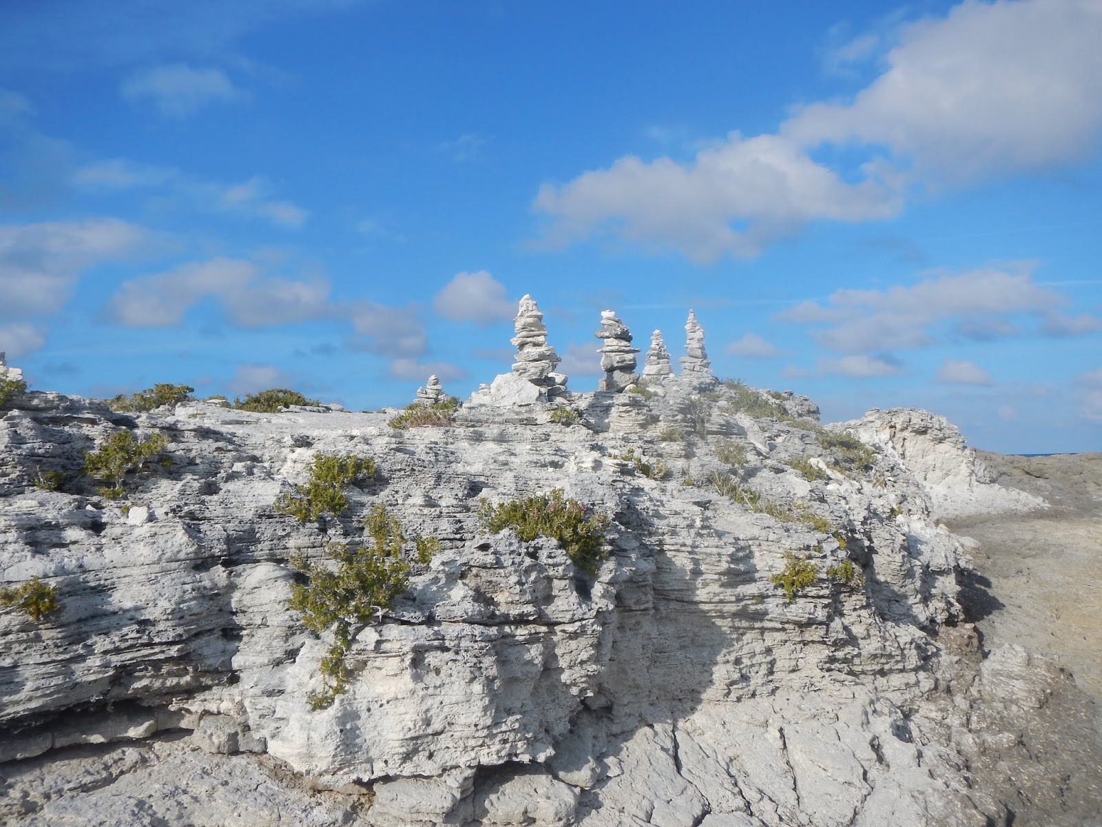 Millévasions: Compass cay, Exumas, Bahamas