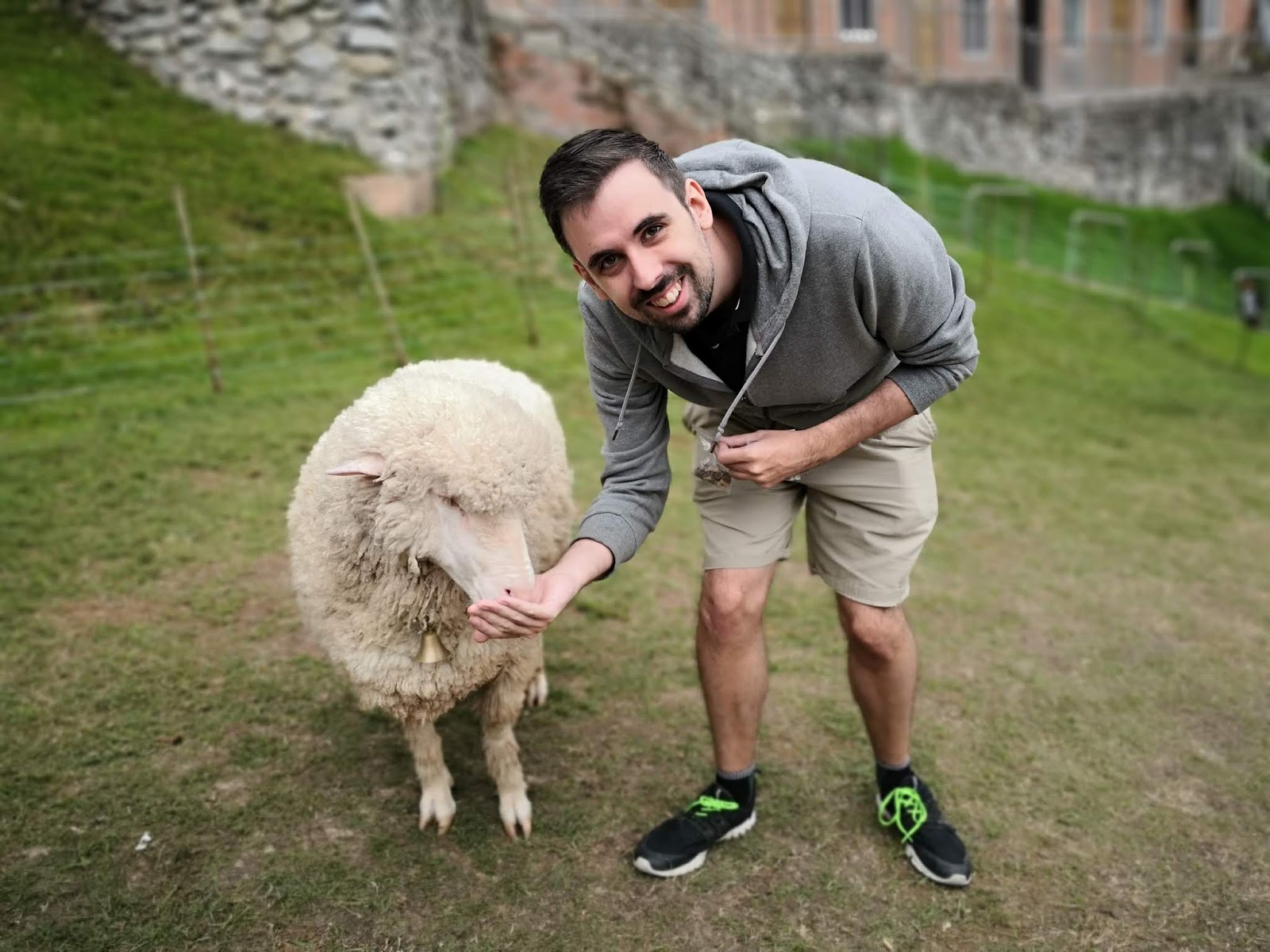 THE SHEEP SANCTUARY, CAMERON HIGHLANDS - Hi5 the world