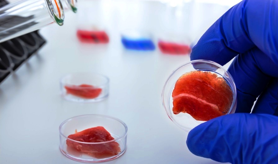 10 Future Food - Food Technology and Inventions