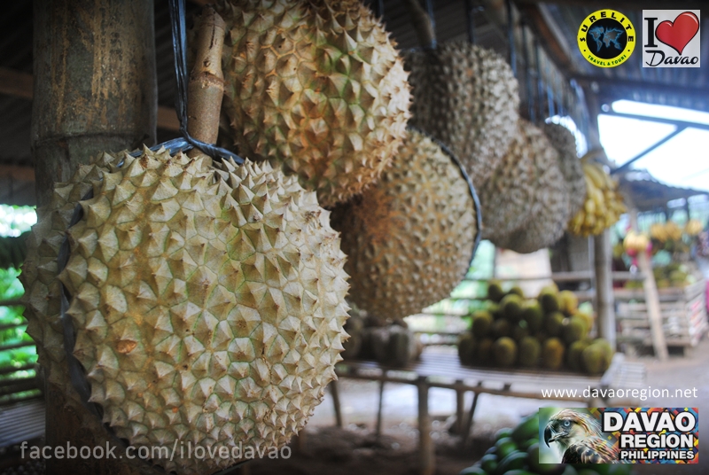 Fresh Fruits from Davao Region - Davao Region Philippines Southern Mindanao