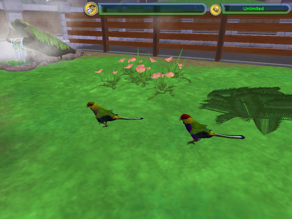 Cryptodraco: Pretty Parrots Australia and New Zealand for Zoo Tycoon 2