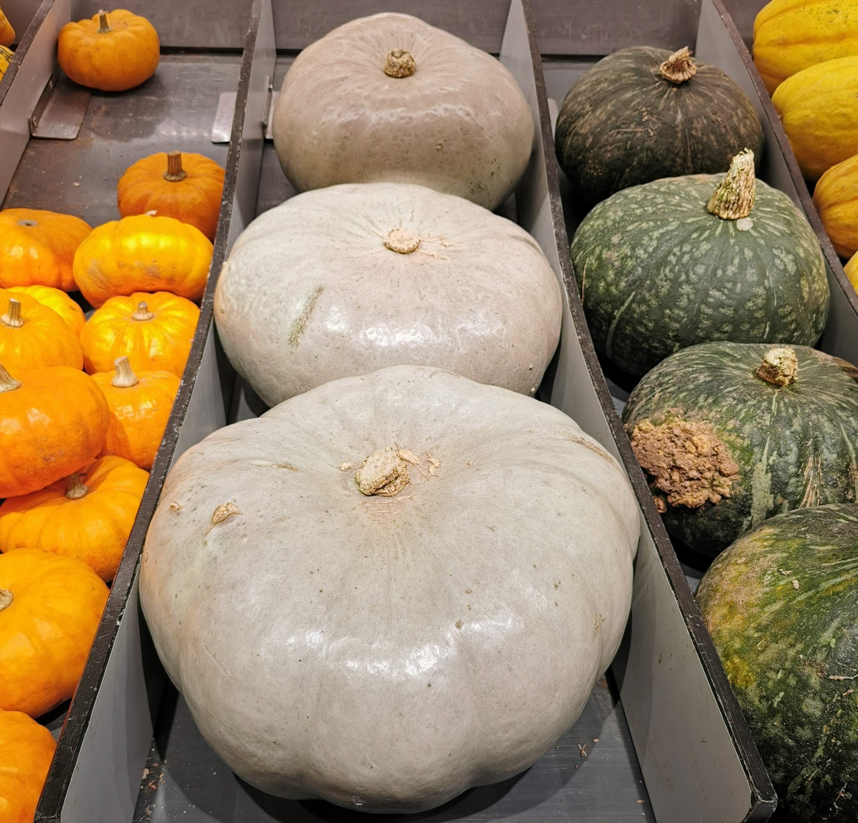 Six Different Varieties of Pumpkins Sold in France | Paperesse