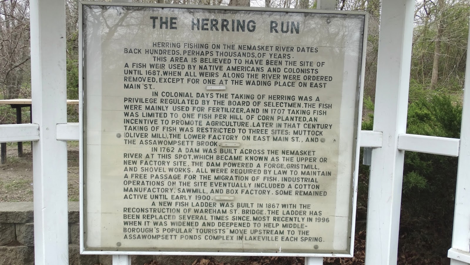 Elaine's Creative Works: Middleboro's Herring Run Festival at Oliver ...