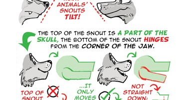 The Etherington Brothers: How to THINK when you draw SNOUTS - BRAND NEW ...