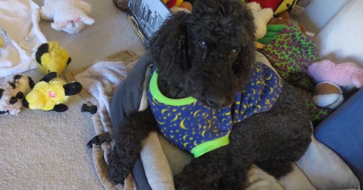 Not Afraid of Color: Cole's Capers... Cole's whimsy