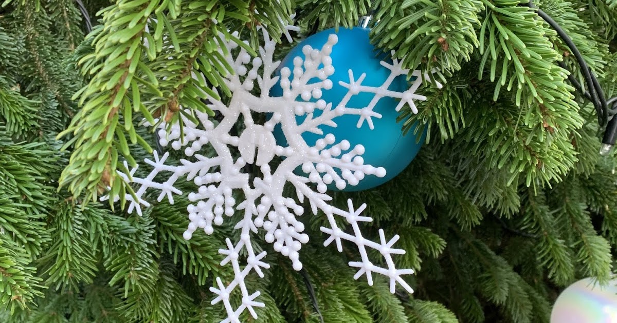 Destination Lund Sweden: Tourism, history and culture: Christmas trees ...