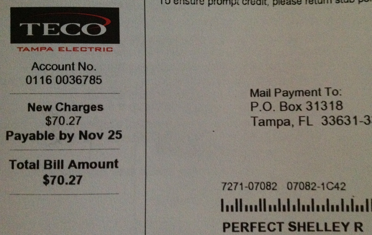 Perfectly Amusing: I think this is the lowest TECO bill for me at this ...