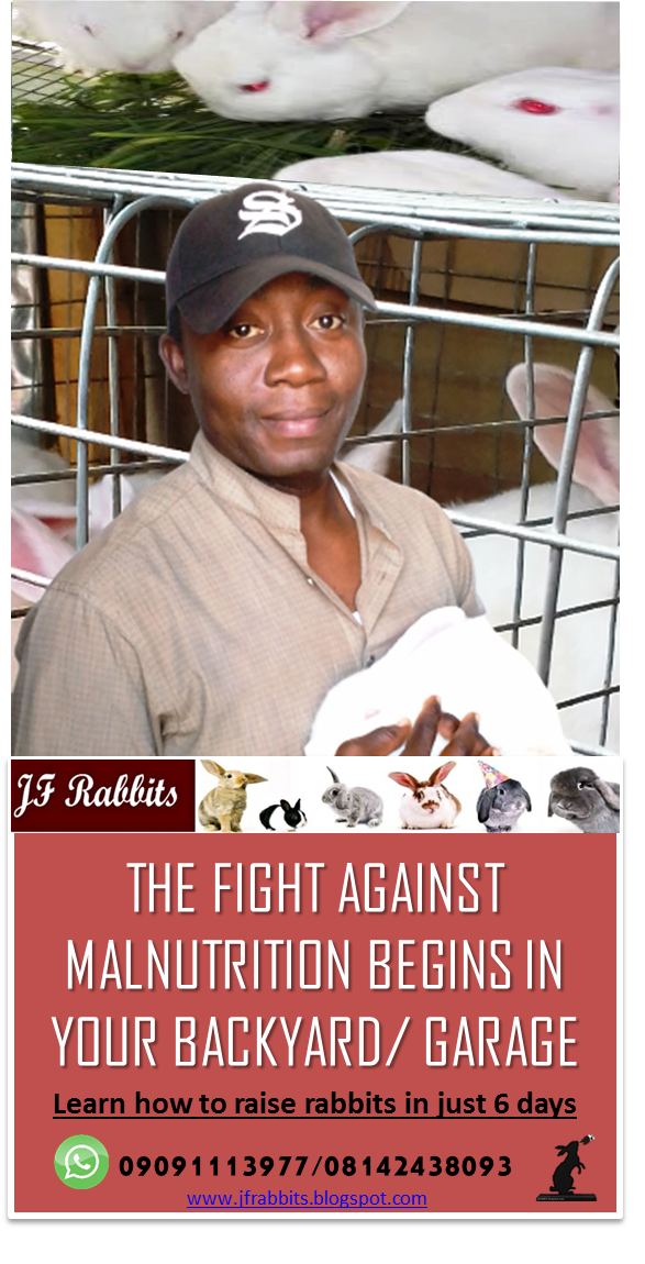 ULTIMATE GUIDE TO RABBIT FARMING IN NIGERIA MANUAL 3