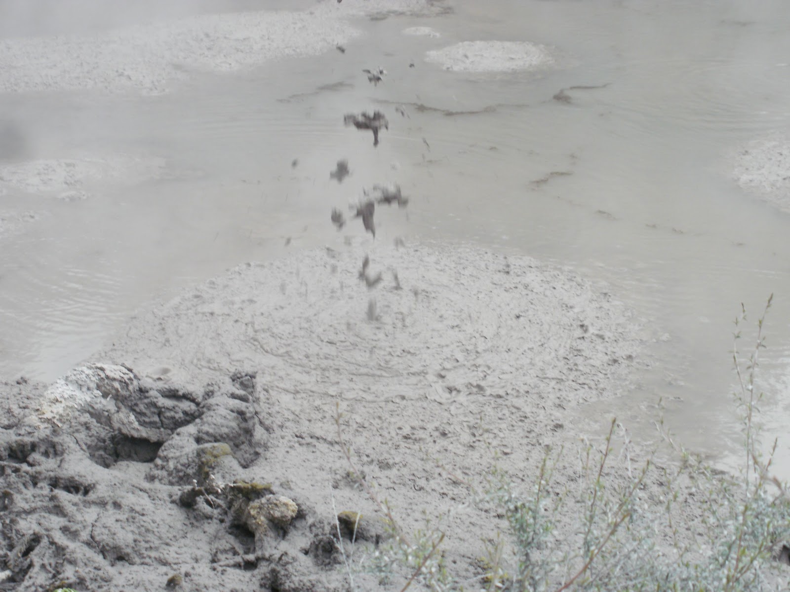 No direction home ... a complete unknown ... like a rolling luggager ...