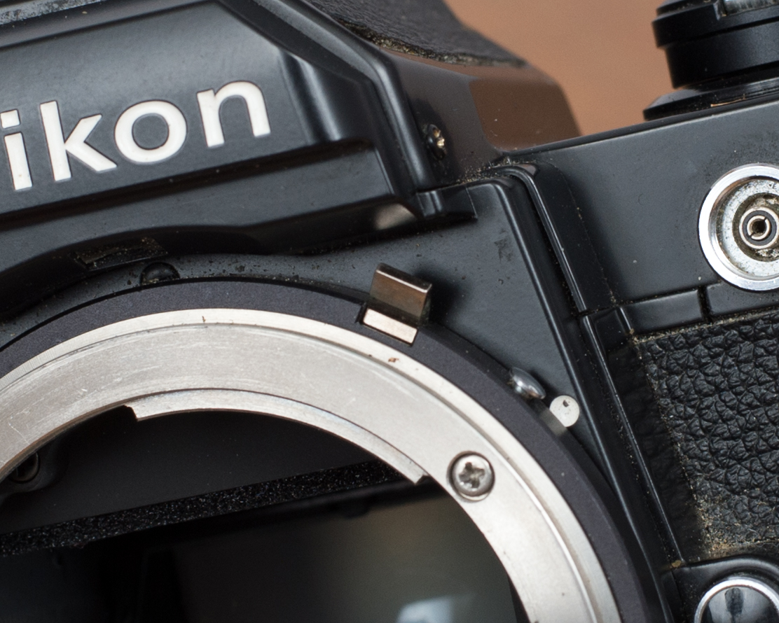 brennanprobst.com: Spotlight/Roll: Nikon FM vs. Nikon FM2n + Greenberg ...