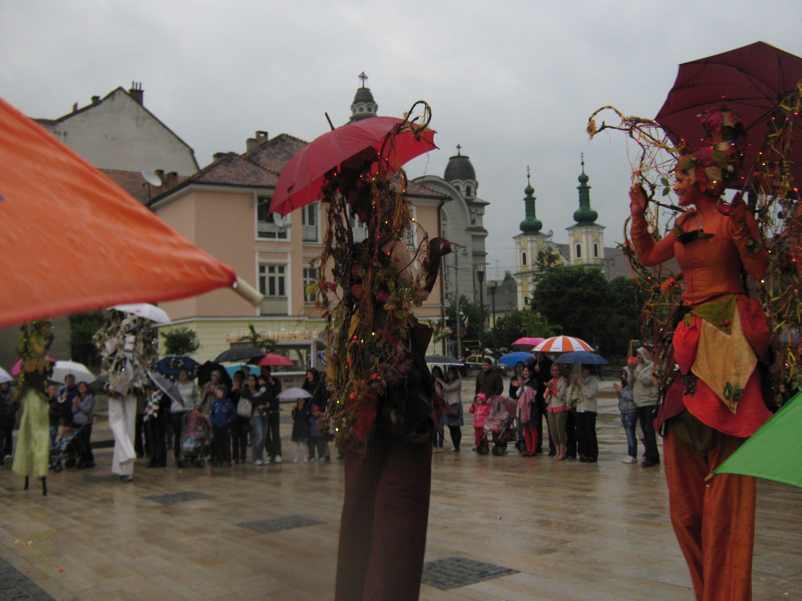 Cer Senin si Ape Limpezi: Zane, anotimpuri, miracole si intamplarea