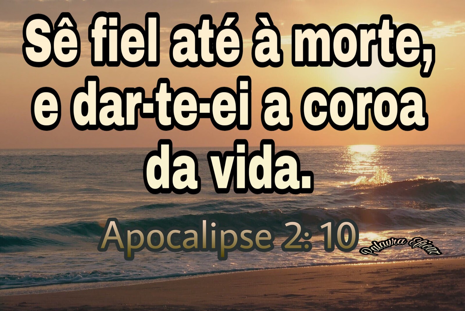 Carlos Espírita: PADECER