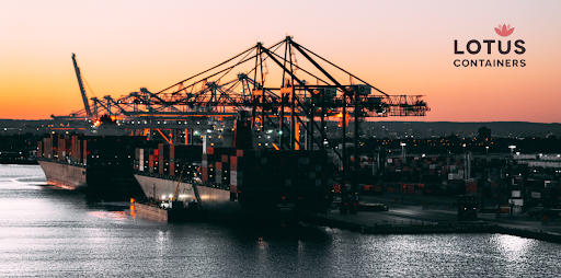 All you need to know before you buy a cargo container | LOTUS Containers